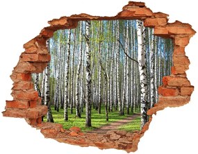 Wallmuralia Nálepka fototapeta 3D výhled Břízový les 90x70 cm