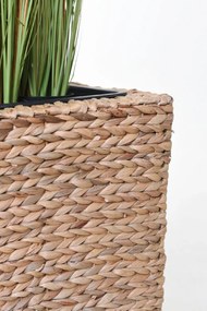 Květináč ASIA, vodní hyacint, výška 80 cm, natur