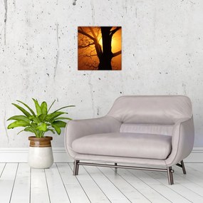 Obraz stromu v západu slunce (30x30 cm)