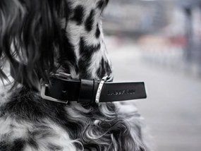 Kožený obojek pro psa Labbvenn Kollu černý Velikost: S - 35 - 41 cm