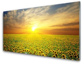 akrylový obraz Slunce Louka Slunečnice 140x70 cm