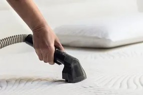 Ariete Spot Cleaner Heat Pro černá / Mokro-suchý čistič / 750 W / dvoj