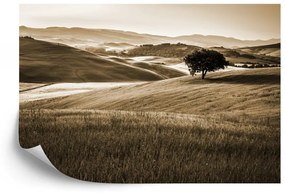 Fototapeta Rolling Hills V Sepia Hladký vinyl 104x70.5