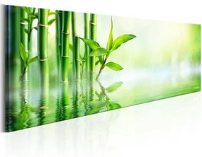 Obraz - Green Bamboo