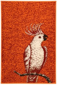 Alfa Carpets, TRHÁK: Kusový koberec Kakadu orange, 80x120, oranžová, dětský pokoj