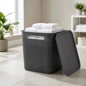Rotho Úložný box s víkem a s madly BRISEN 18l, 29x29x29cm, černý