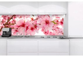 DIMEX | Fototapeta do kuchyně Květy jabloní KI-180-054 | 180 x 60 cm | červená, bílá, růžová