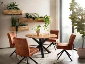 furniture-nabytek.cz - Židle Canton hnědá