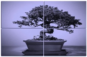 Obraz na plátně - Bonsai 1244VD (120x80 cm)