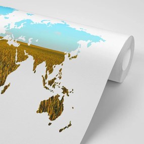 Tapeta mapa světa na bílém pozadí