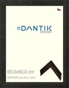DANTIK rámeček 60x80 | SARTORI listy čer.s. (Plexi Čiré)