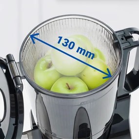 TESLA Electronics SlowJuicer Deluxe - Šnekový odšťavňovač 250W/230V nerez