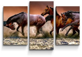 Sablio Obraz - 3-dílný Koně ve vodě - 75x50 cm