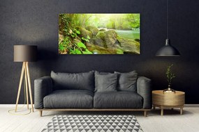 akrylový obraz Jezero Kameny Příroda 120x60 cm