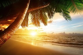 Fototapeta východ slunce na karibské pláži - 225x150 cm