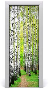 Fototapeta na dveře břízový les 75x205 cm