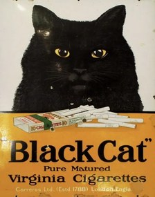 Plechová cedule Black Cat