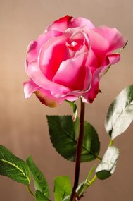 Paramit Dekorační květina Růže světle růžová 67 cm