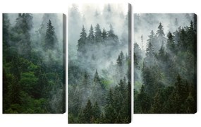 Vícedílný obraz Zelený Les V Mlze Nedostatek Nedostatek Přírodní plátno 180x120