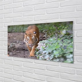 akrylový obraz Tiger Woods 140x70 cm