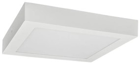 Greenlux | LED Stropní svítidlo FENIX LED/24W/230V 3800K 29,8 cm | GXDW255