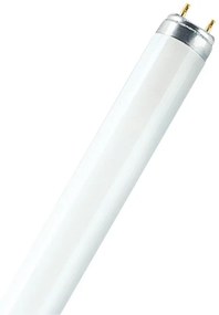 Zářivková trubice Osram T8 / 36 W / G13 / Ø 26 mm / 121 cm / studená bílá