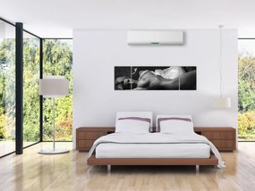 Obraz - Akt ležící ženy (170x50 cm)