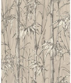 Vliesová tapeta 484861 béžová, antracit, bambus / Tapety na zeď Florentine III (0,53 x 10,05 m) Rasch