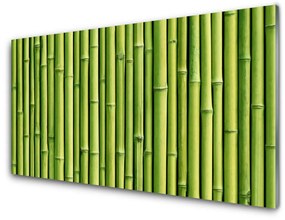 Obraz na skle Bambus Rostlina Příroda 140x70 cm