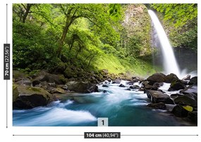 Fototapeta Vodopád Kostarika 104x70