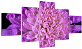 Detailní obraz květu (125x70 cm)