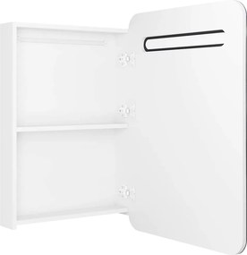 LED koupelnová skříňka se zrcadlem zářivě bílá 60 x 11 x 80 cm 326509