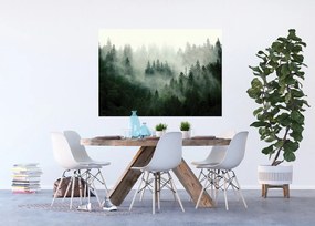 Vliesová fototapeta na zed' Magický Les | 155 x 110 cm | DFTNM7707