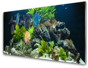 akrylový obraz Ryba Kameny Listy Příroda 140x70 cm