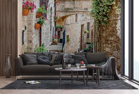 Fototapeta na zed' Italská Ulička | 360 x 254 cm | DFTS1333