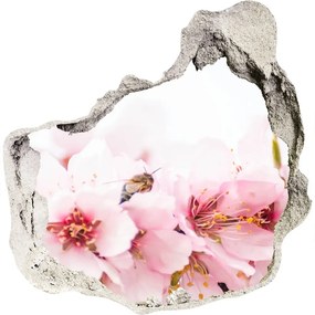 Wallmuralia Samolepící díra na stěnu Květy višně 75x75 cm