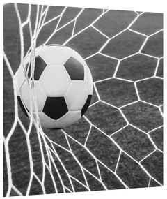 Fotbalový míč v síti (40x40 cm)