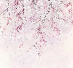 Komar Vliesová fototapeta Kirschblüten 300 x 280 cm