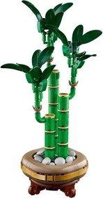LEGO® Botanicals 10344 Bambus štěstí