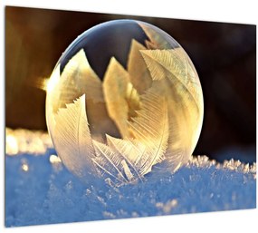 Skleněný obraz zamrzlé bubliny (70x50 cm)