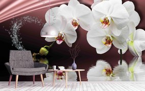 Malvis ® Tapeta Orchidej bílá Vel. (šířka x výška): 432 x 290 cm