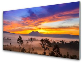 akrylový obraz Stromy Mlha Krajina 100x50 cm