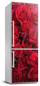 Wallmuralia Nálepka fototapeta Červené růže 60x180 cm