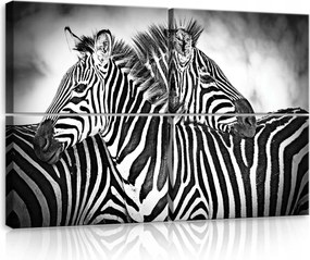 Obraz 120x80 Zebra pruhy černobílé safari zvířata příroda vzor grafika