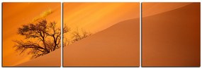 Obraz na plátně - Červené písečné duny - panoráma 5133C (150x50 cm)