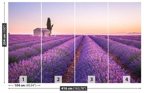 Fototapeta Provence levandule 104x70