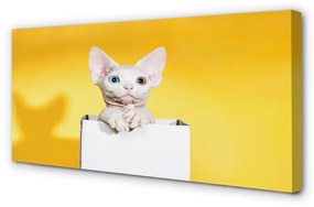 Obrazy na plátně sedící kočka 125x50 cm