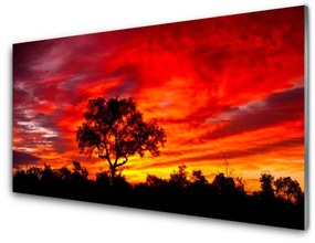 Obraz na skle Les Krajina Příroda 100x50 cm