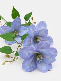 Sinsay - Decorative plant – clematis - modrá