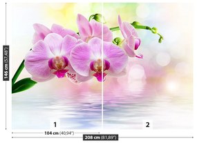 Fototapeta Orchidej růže 104x70